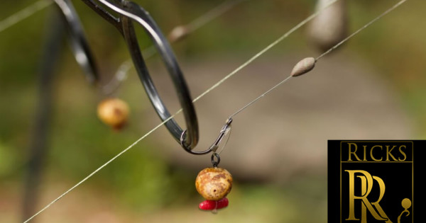Ready Made Bottom Bait Combi Rigs - Adam Penning Style | Professionally ...