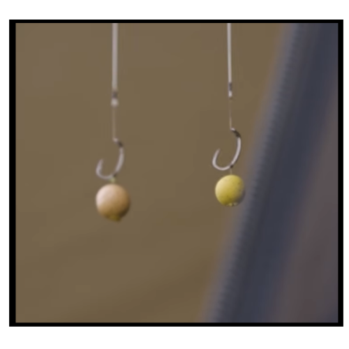 Ready Made Carp Rigs | Professionally Tied | Ready Rigs | Carp fishing ...