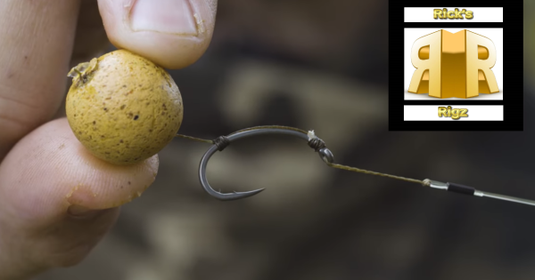 Combi Rigs | Professionally tied Ready Made Carp Rigs