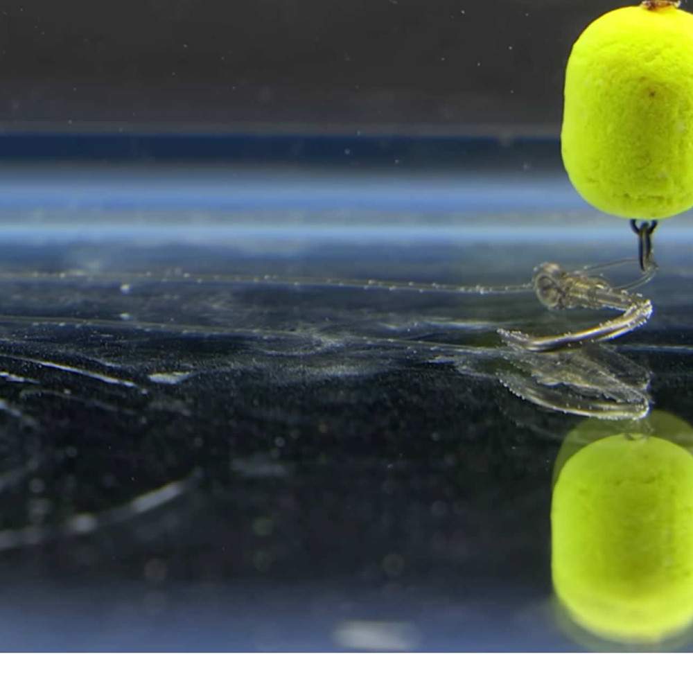 Ready Made Wafter D Rigs - Tom Maker Illusion D rig - Fluorocarbon