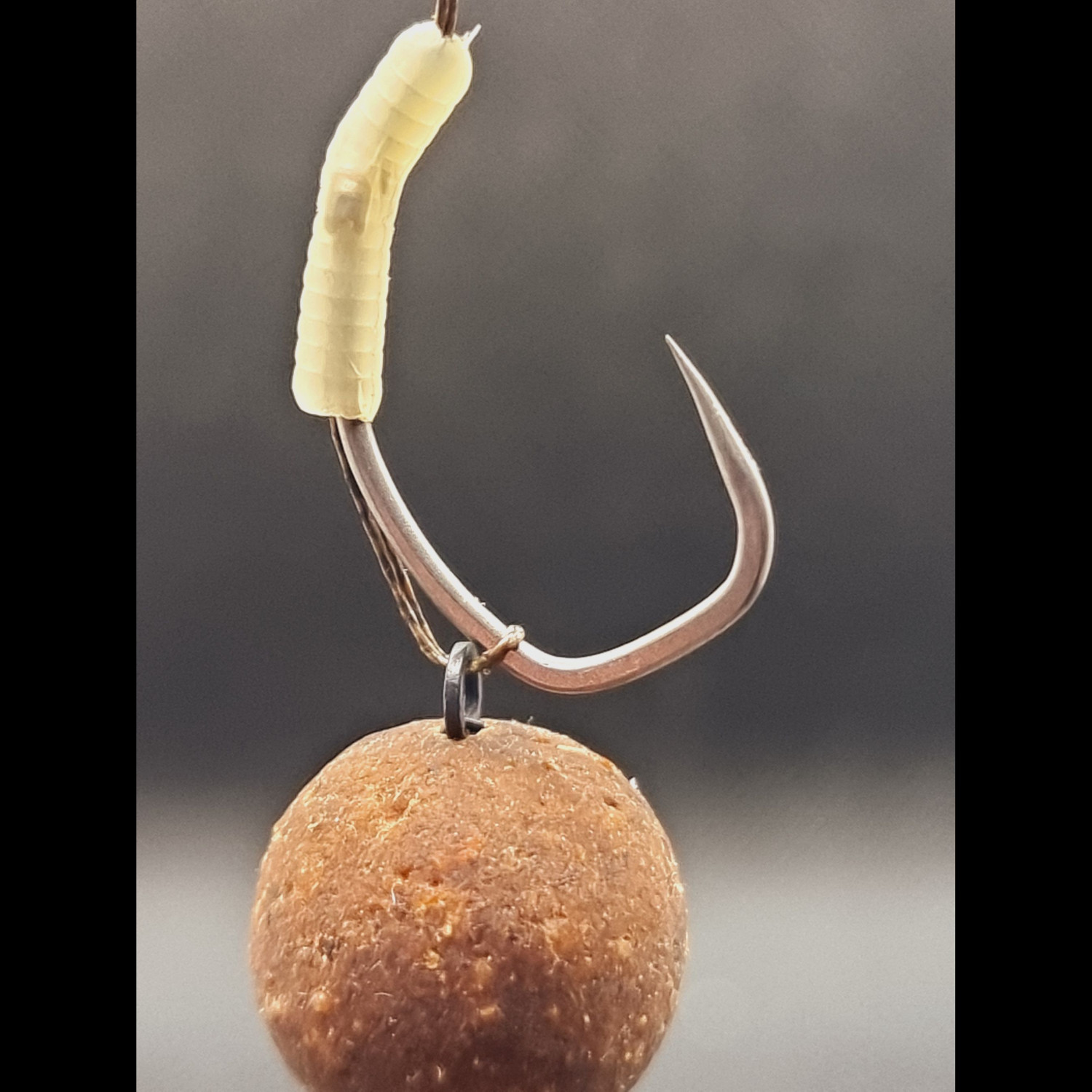 The Ultimate Guide to Ronnie Rigs / Spinner Rigs