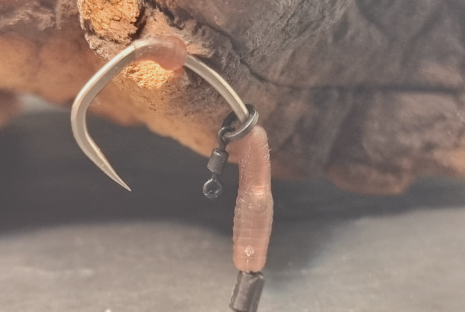 Ready Made Carp Rigs | Professionally Tied | Ready Rigs | Carp fishing ...