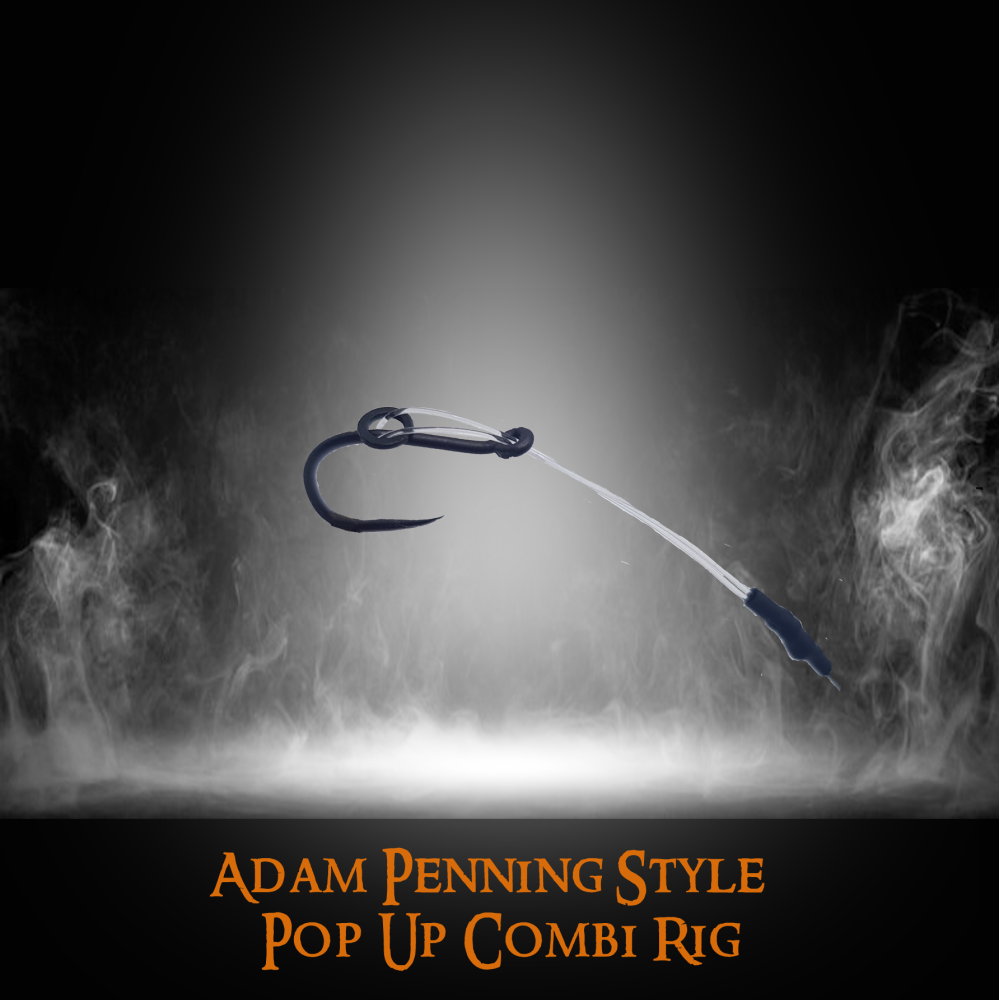 Ready Made Pop Up Reverse Combi Rigs - Adam Penning Style