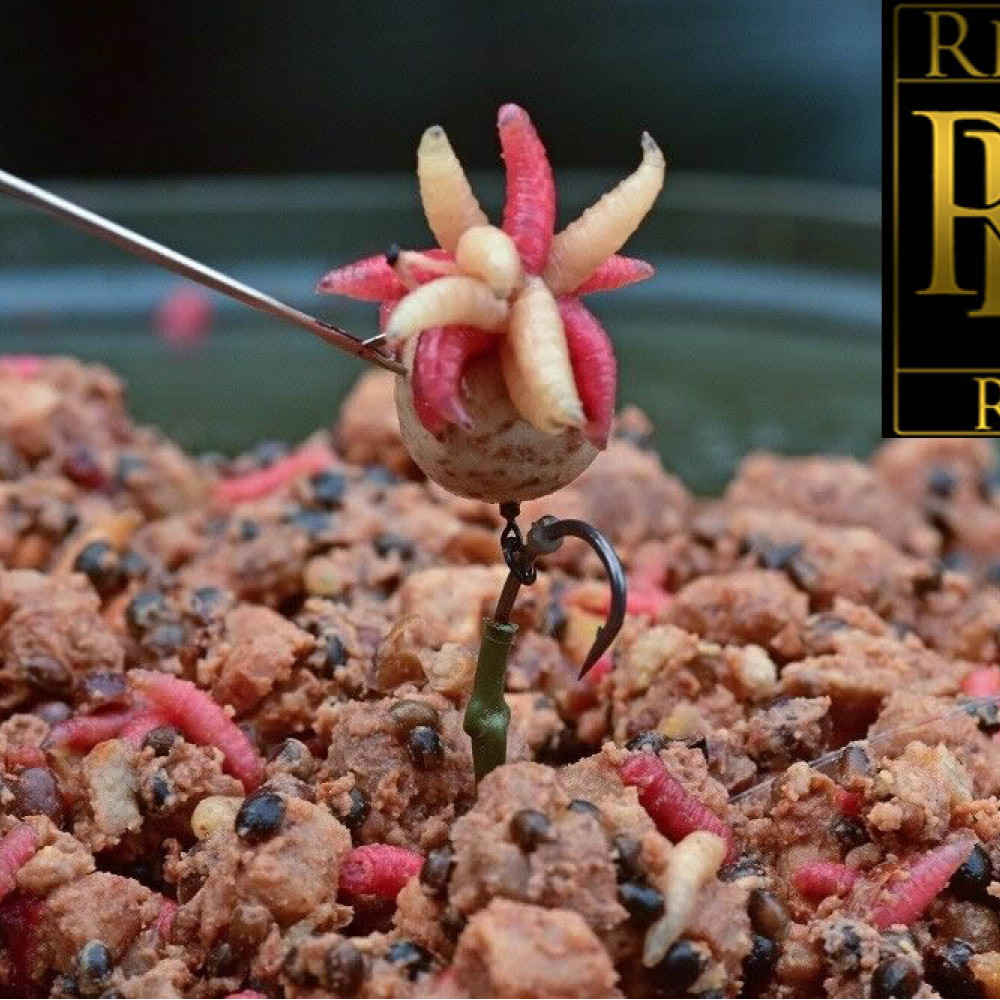 Premium Ronnie - Spinner Rigs - professionally tied ready made carp ...