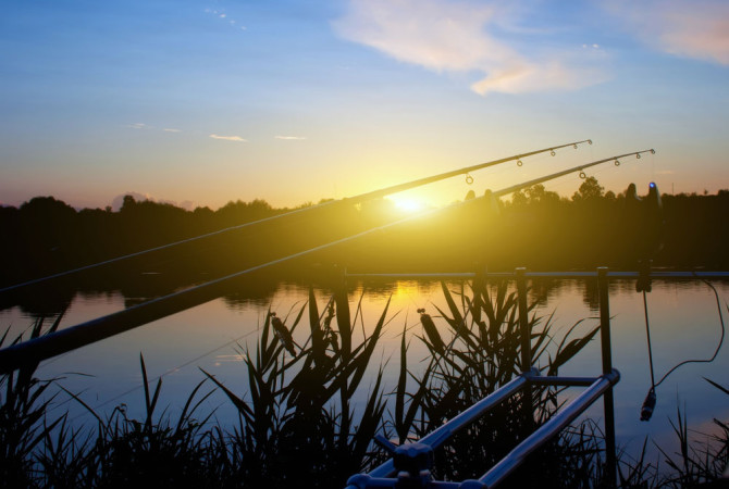 Ready Made Carp Rigs | Professionally Tied | Ready Rigs | Carp fishing ...